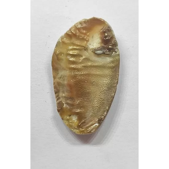 Original Shukra Mani Stone (1.50Gram) Shukra Mani 15 Carat 100% Natural ...